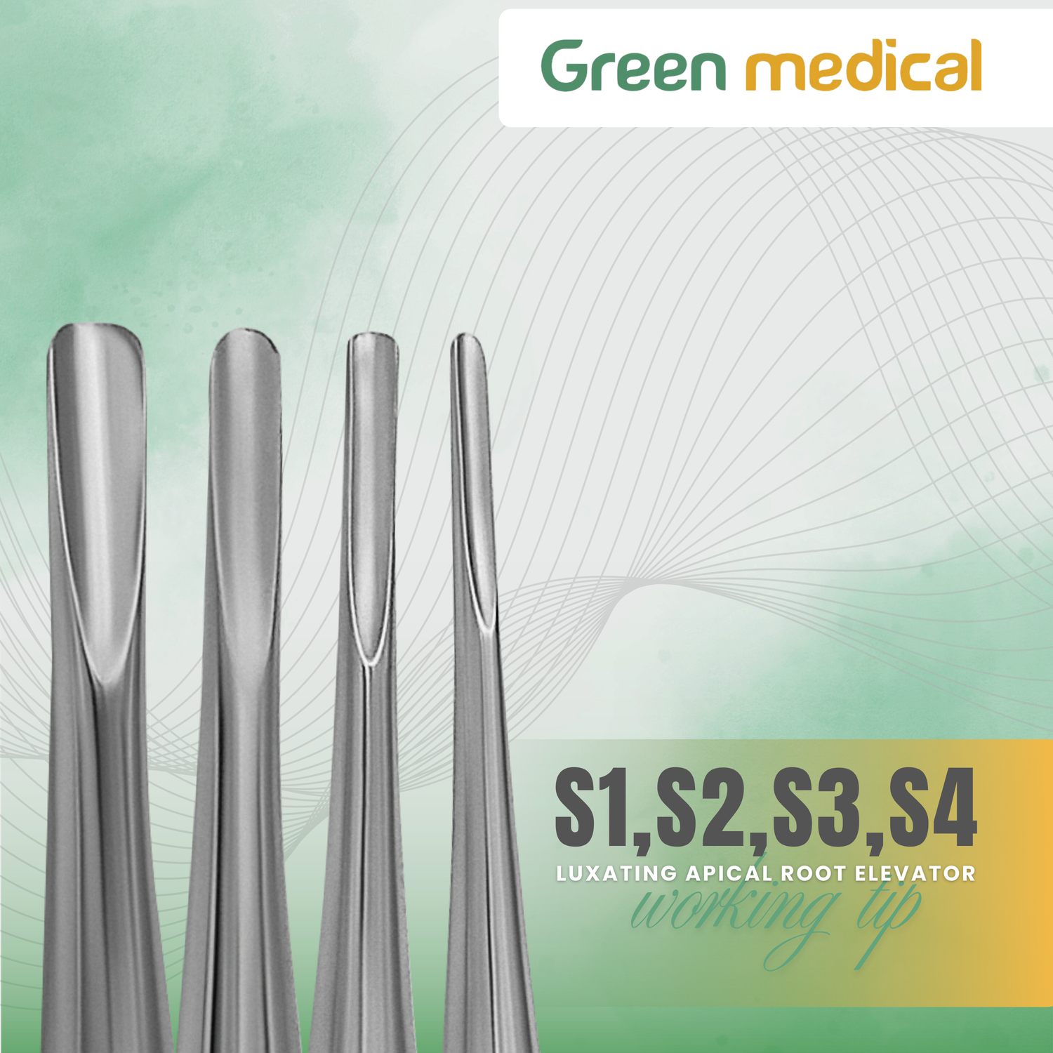Dental Luxating Root Tip Elevators Set – Straight, Octagonal Handle – Green Medical Supplies Inc.