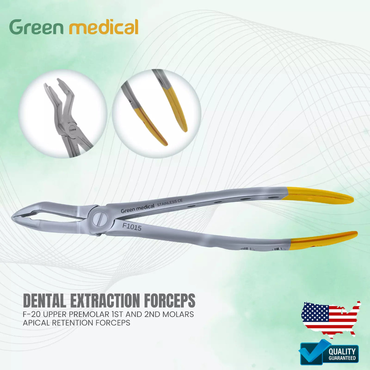 DENTAL EXTRACTION FORCEPS F-20 UPPER PREMOLAR 1ST & 2ND MOLARS – Green ...