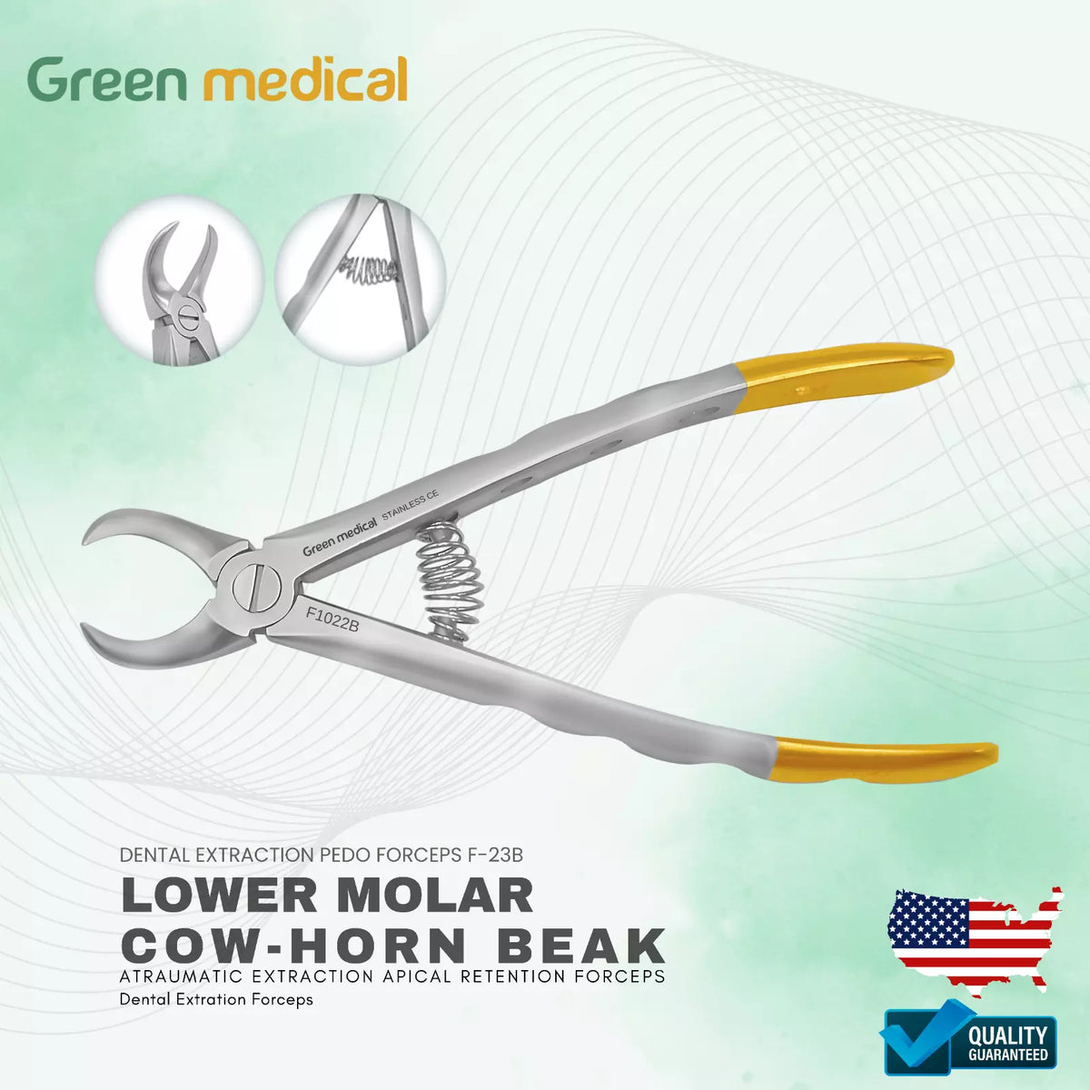 DENTAL EXTRACTION PEDO FORCEPS F-23B LOWER MOLAR COW HORN BEAK – Green ...