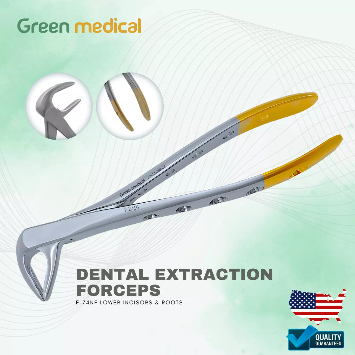 Dental Extraction Forceps F-74NF Lower Incisors & Roots – Green Medical ...