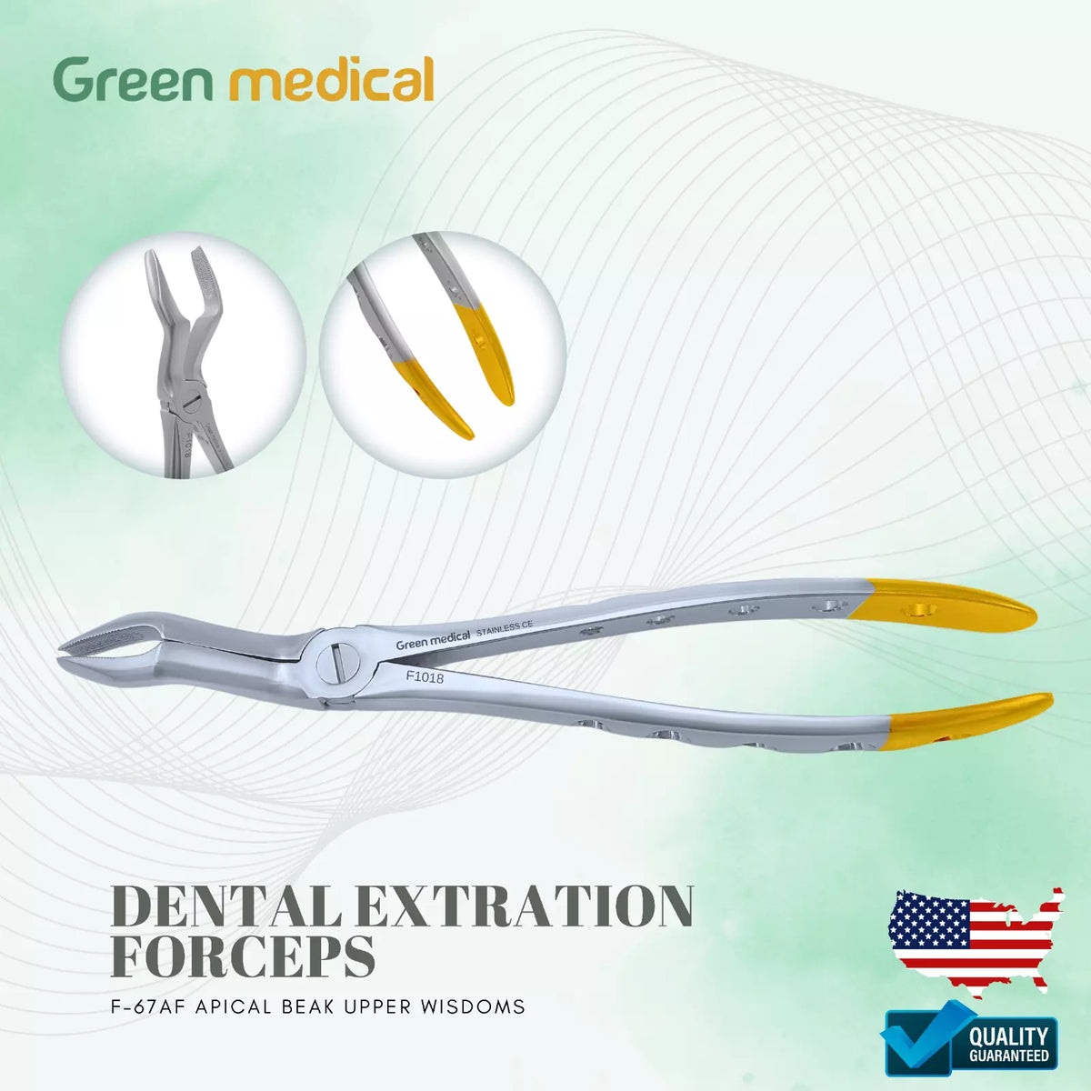 DENTAL EXTRACTION FORCEPS F-67AF APICAL BEAK UPPER WISDOMS – Green ...
